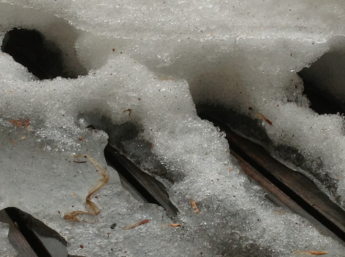 Rotten Snow | A pastor sings